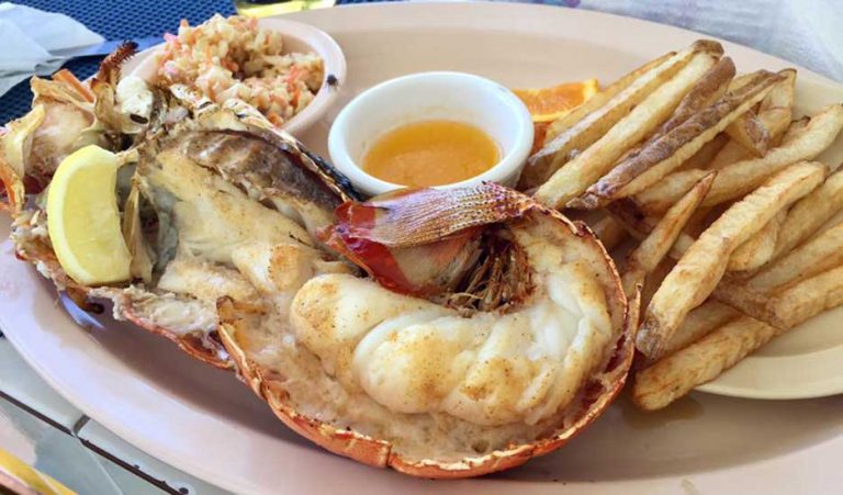 Cow Wreck Beach, Anegada, BVI – Rockhoppin' Adventures